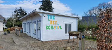 HOW TO FIND US – The Bee School
