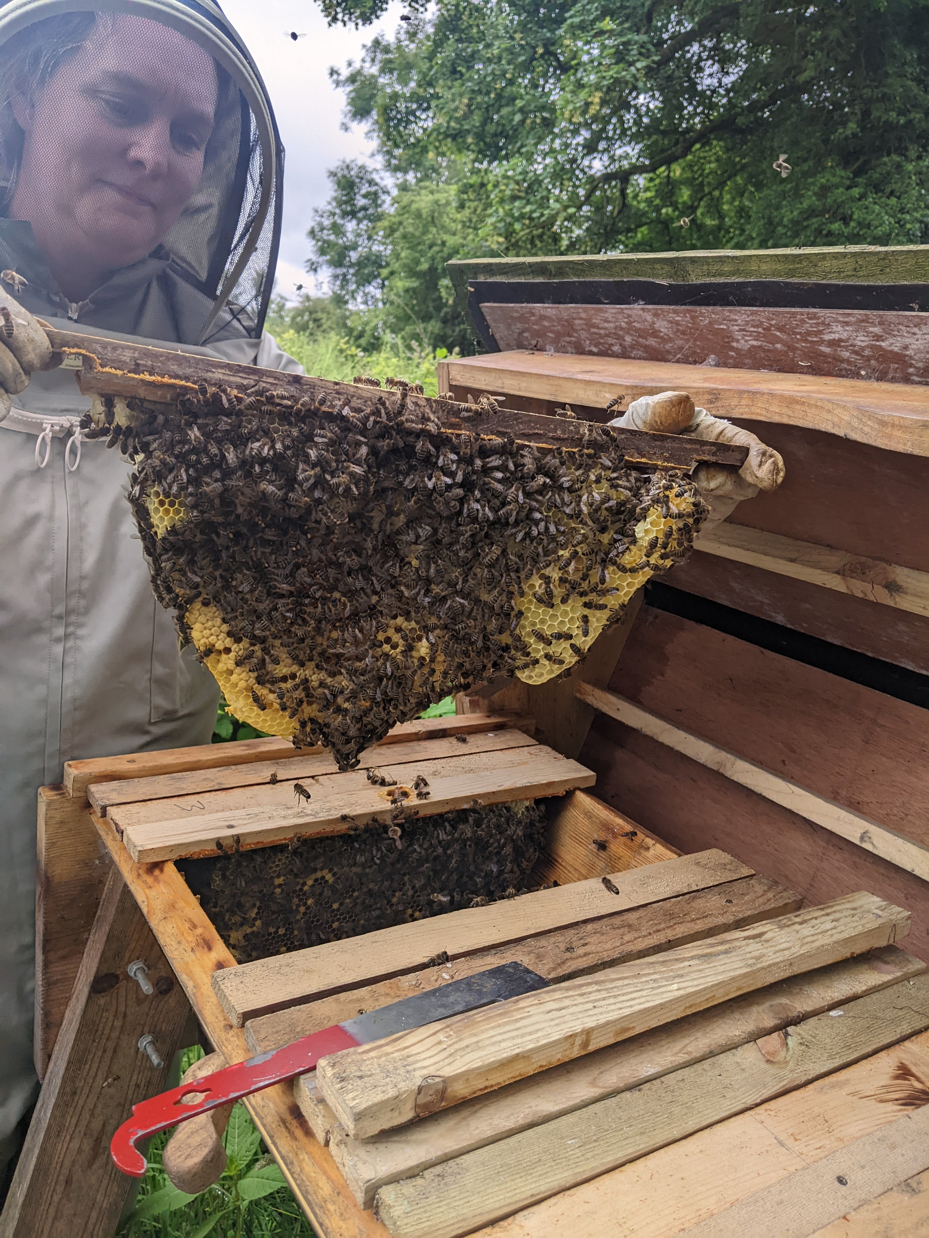 COURSE CONTENT – The Bee School